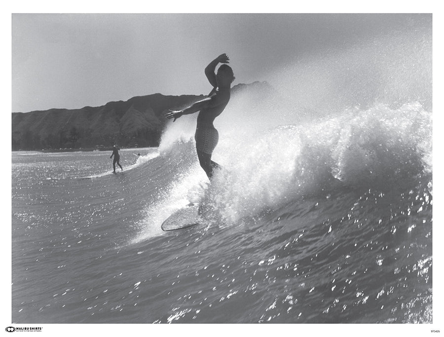 Diamond Surfer Poster – Malibu Shirts