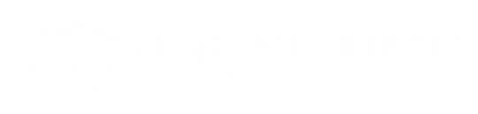 Stubbies Clothing – Iconic Shorts and Surf Legacy Since 1972 – Malibu ...